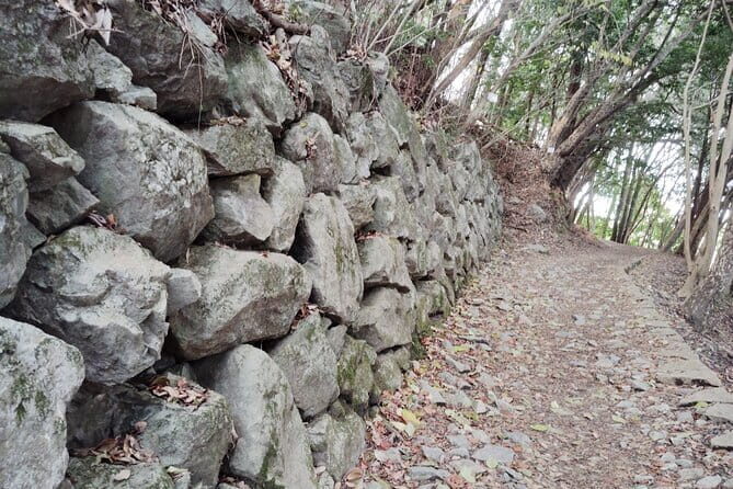 Kintai Kyo Bridge and Iwakuni Castle with Local Guide - FAQ