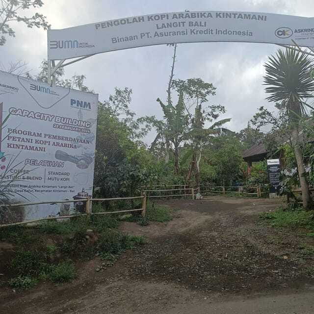 Kintamani Bali Coffee Adventure - Final Thoughts: Who Should Book This Tour?