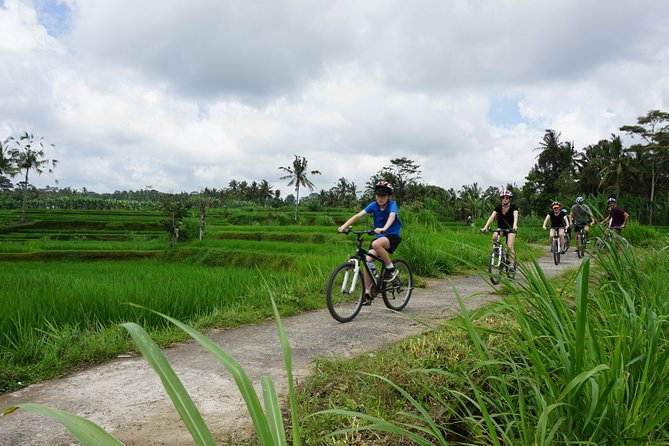 Kintamani Cultural and Nature Cycling Tour ( Manual Bike ) - Key Points