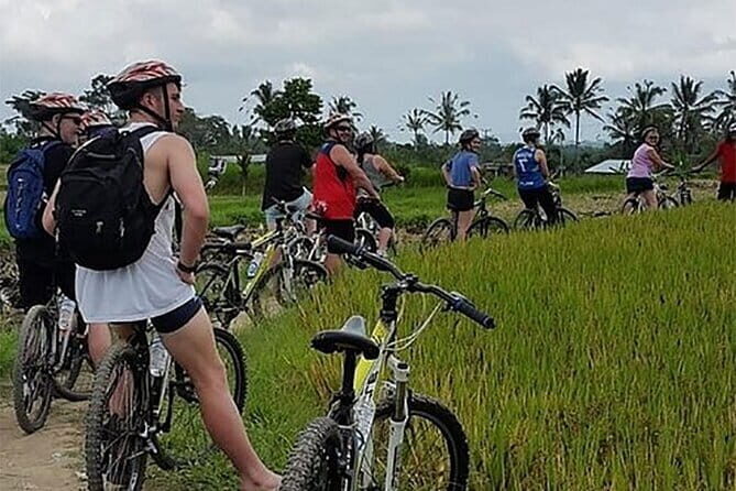 Kintamani Downhill Cycling Adventure - An Exciting Way to See Bali’s Countryside