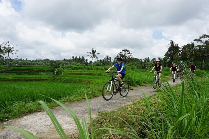 Kintamani Downhill Cycling Adventure - Who Will Love This Experience?