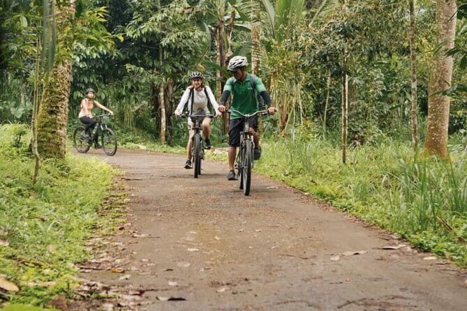 Kintamani to Ubud Downhill Bike Tour with Lunch - Exploring the Kintamani to Ubud Downhill Bike Tour with Lunch