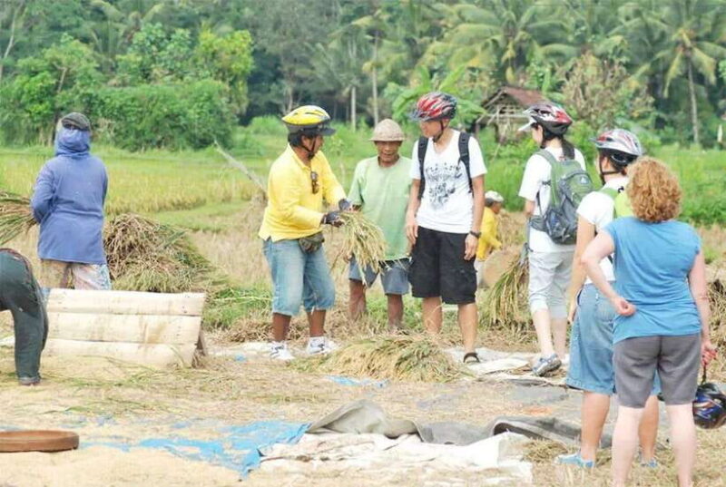 Kintamani to Ubud Downhill Cycling Tour - Key Points