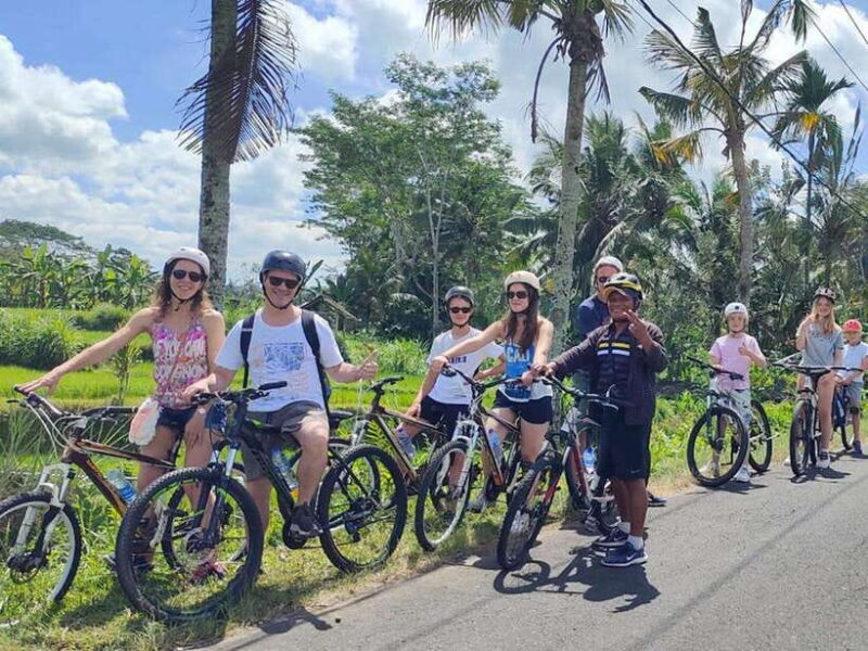Kintamani to Ubud Downhill Cycling Tour - The Cultural Highlights Along the Route