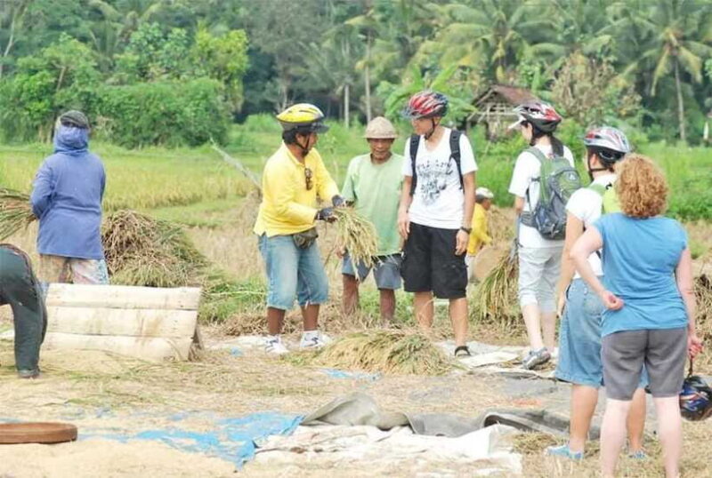 Kintamani to Ubud Downhill Cycling Tour - Authenticity and Local Ownership
