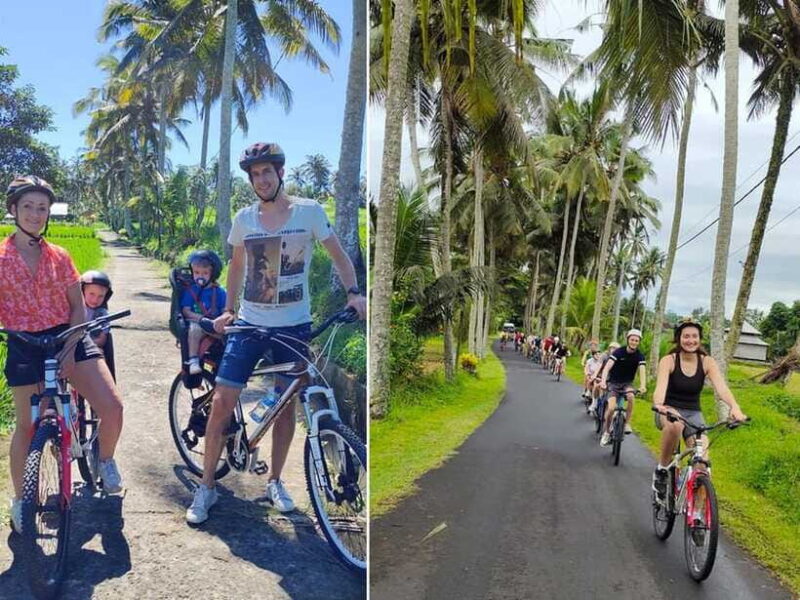 Kintamani to Ubud Downhill Cycling Tour - The Experience in Action