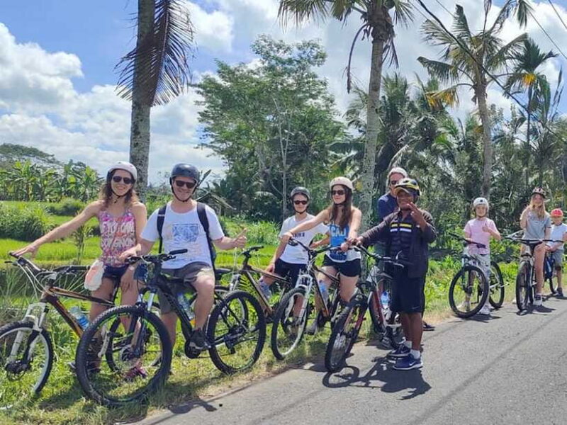 Kintamani to Ubud Downhill Cycling Tour - Analyzing the Value