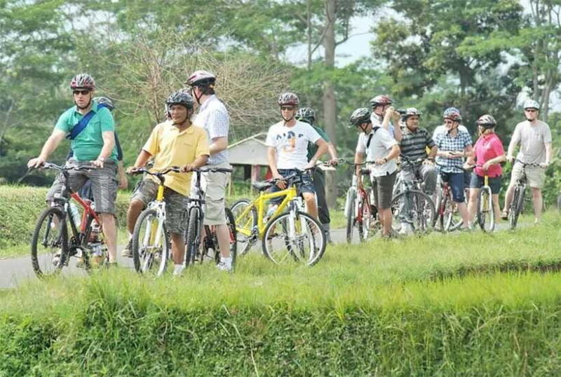 Kintamani to Ubud Downhill Cycling Tour - Who Will Love This Tour?
