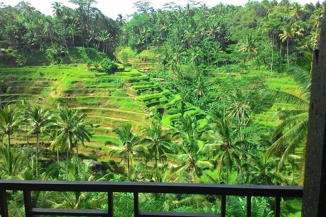 Kintamani Volcano View Tour - Mount Batur: Active Volcano and Coffee Paradise