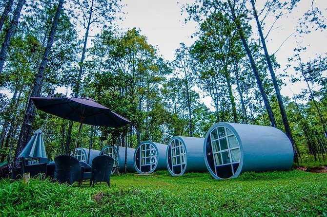 Kirirom National Park Private Day Tour from Phnom Penh - In-Depth Look at the Itinerary