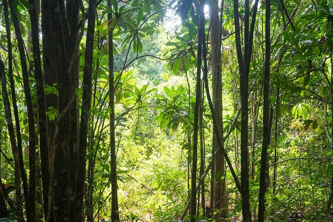 Kirirom National Park Private Day Tour from Phnom Penh - The Sum Up: Who Should Consider This Tour?