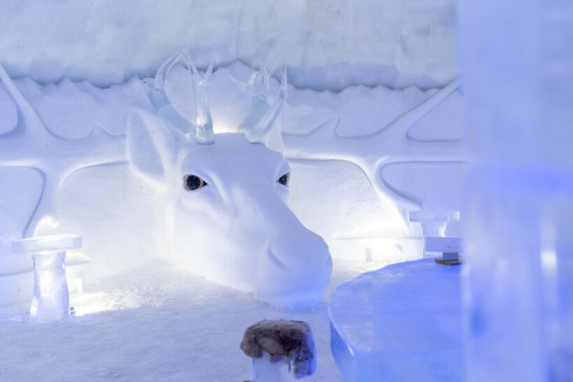 Kirkenes: Snowhotel Entrance Ticket - What Makes the Snowhotel Special?