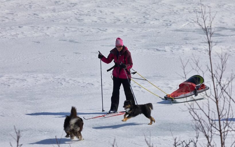Kiruna: Cross-Country Skiing Tour with a Guide - Introduction: Effortless Arctic Skiing with a Local Guide