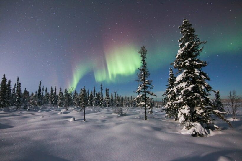 Kiruna: Northern Lights Minivan Chase with Warm Drink - Key Points