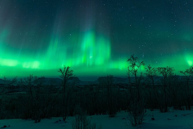 Kiruna Northern Lights Tour with Photographer - Final Thoughts on Value and Suitability