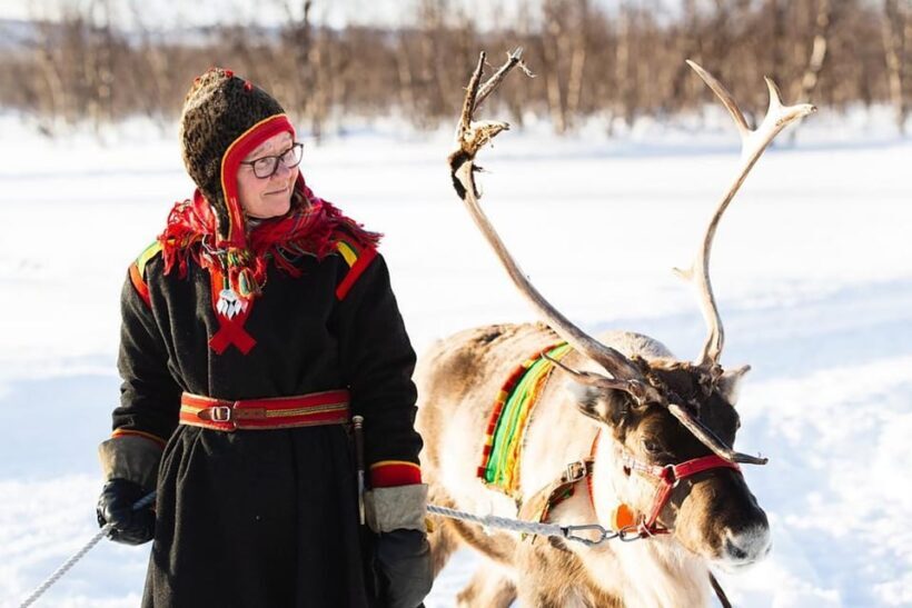 KIRUNA: Sami Reindeer Experience - Who Will Love This Tour?