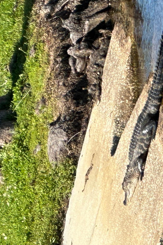 Kissimmee: 4-Hour All Electric Mountain Bike Lakefront Tour - FAQ