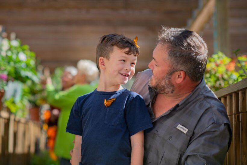 Kissimmee: Boggy Creek Airboat Ride with Optional Meal - Key Points