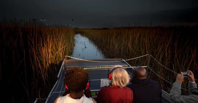 Kissimmee: Boggy Creek Airboats Adventures Night Tour Ticket - The Sum Up