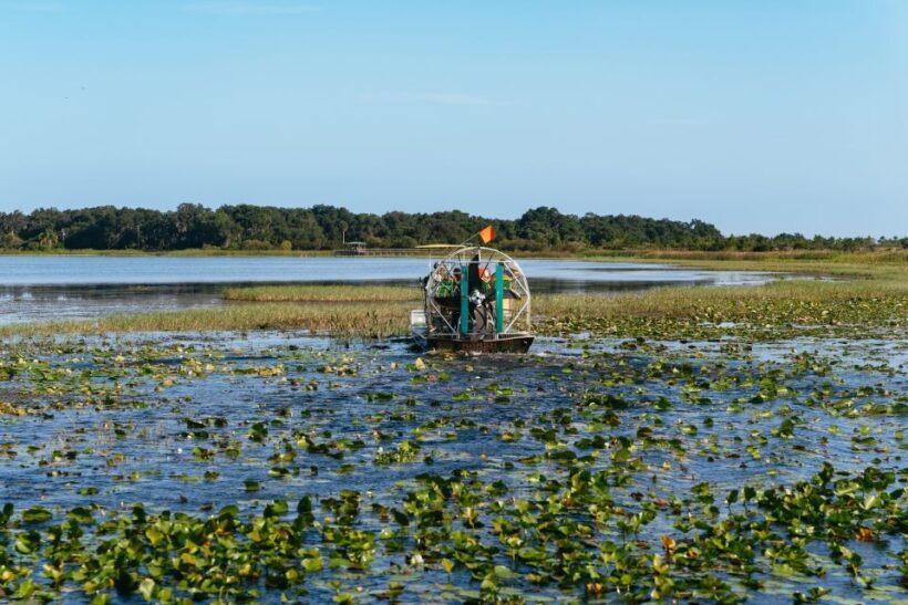 Kissimmee: Everglades Airboat Adventure Tour - An In-Depth Look at the Everglades Airboat Tour