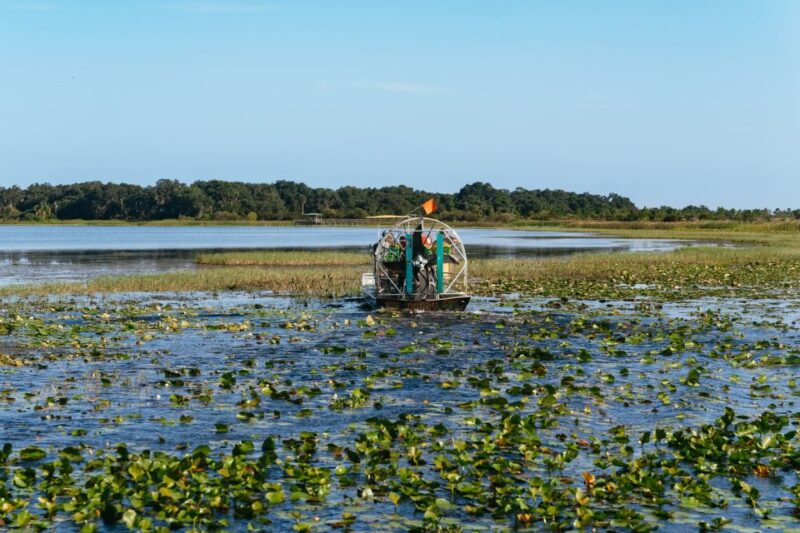 Kissimmee: Everglades Airboat Adventure Tour - Key Points