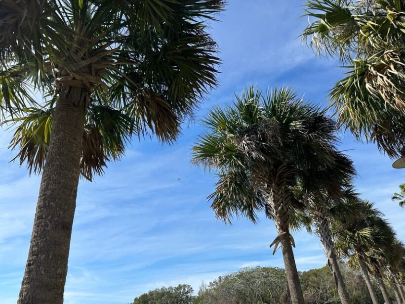 Kissimmee: Explore Lakefront Adventure on Electric Trike - FAQ