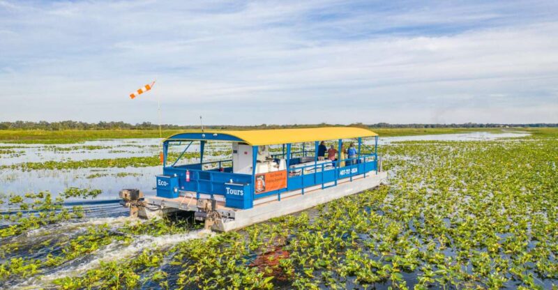 Kissimmee: Florida Everglades Pontoon Boat Tour - Key Points