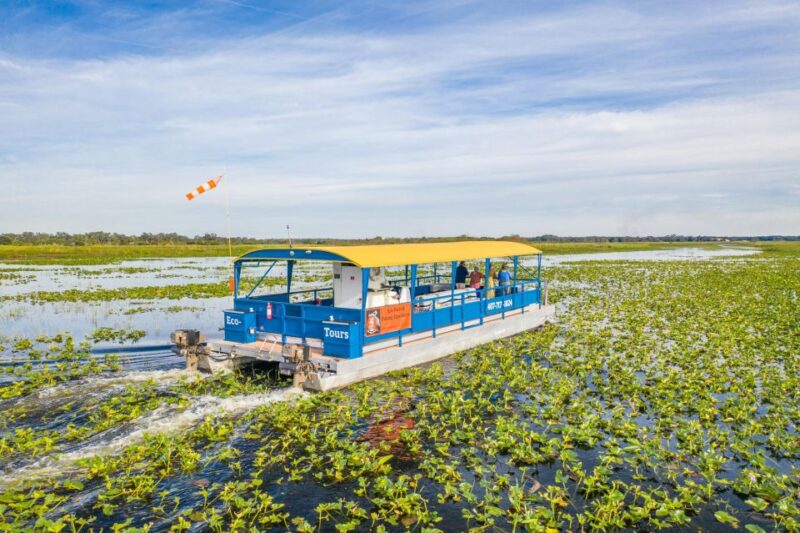 Kissimmee: Florida Everglades Pontoon Boat Tour - The Experience at the Starting Point and Duration