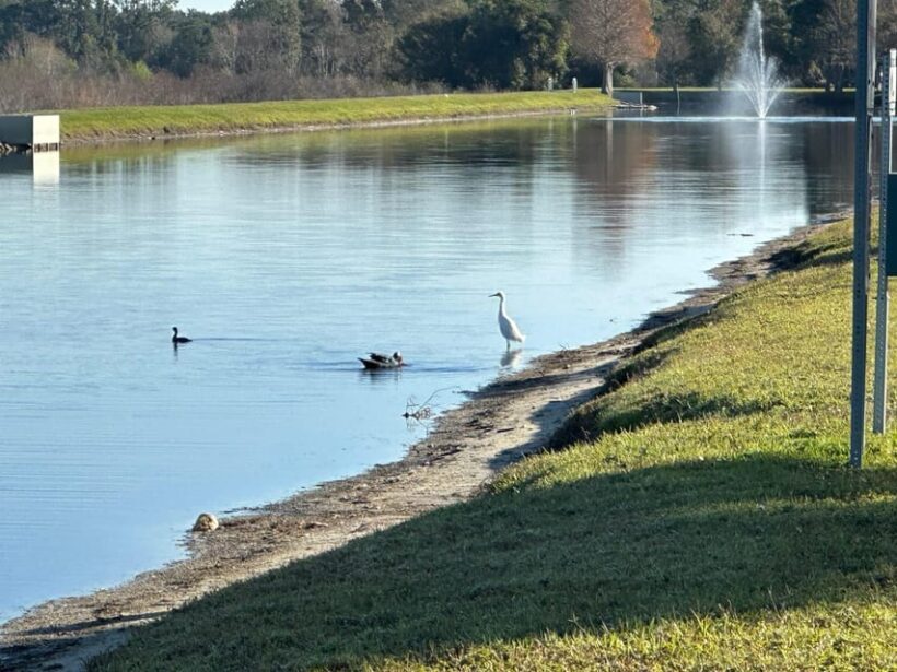Kissimmee: Self-Guided Lakefront Tour on All Electric Bike - Authentic Reviews and Practical Insights