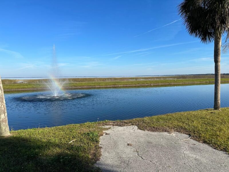 Kissimmee: Self-Guided Lakefront Tour on All Electric Bike - The Sum Up