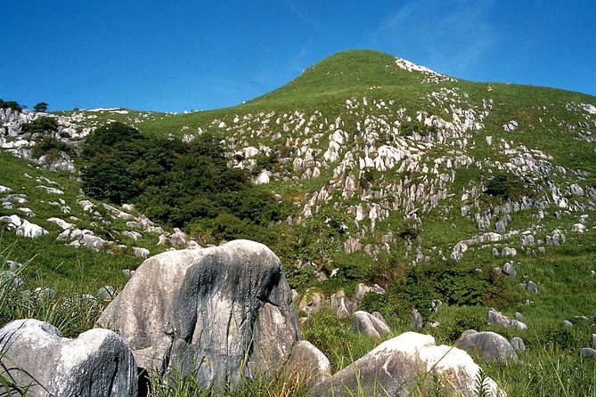 Kitakyushu Full-Day Private Trip With Government-Licensed Guide - Top Attractions in Kitakyushu