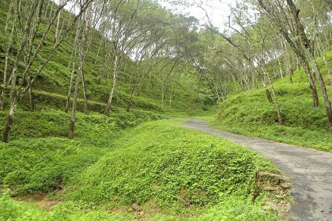 Kithulgala Belilena Cave Tour from Colombo - Unpacking the Experience: What You Can Expect