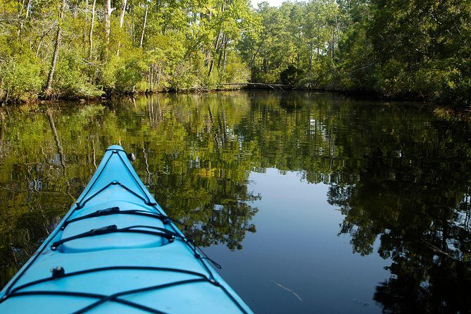 Kitty Hawk Maritime Forest Kayak Tour - An In-Depth Look at the Kitty Hawk Maritime Forest Kayak Tour