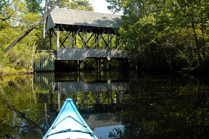 Kitty Hawk Maritime Forest Kayak Tour - Final Thoughts