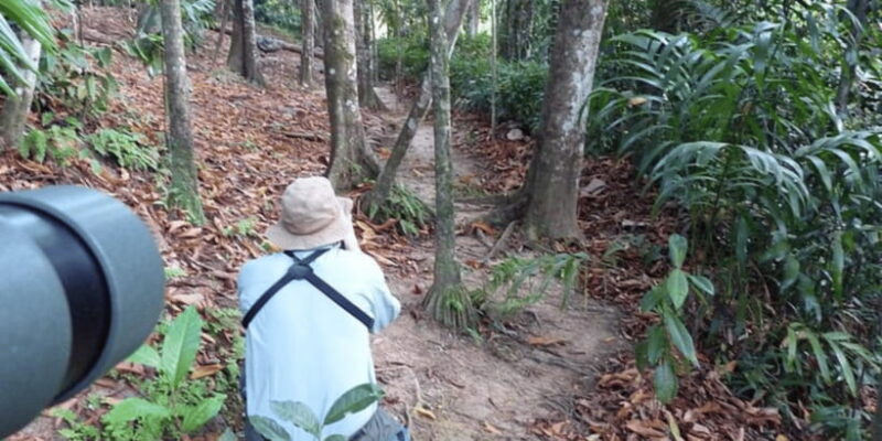 Kitulgala's Total Immersion: Full-Day Adventure Escape - Key Points