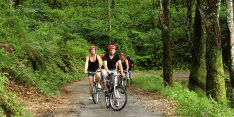 Kitulgala's Total Immersion: Full-Day Adventure Escape - Who Will Love This Tour?