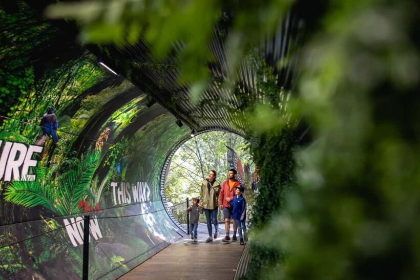 Kiwi Park Admission Ticket - Who Should Consider Visiting Kiwi Park?