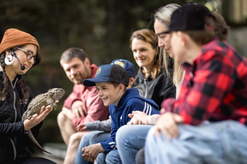 Kiwi Park Admission Ticket - Final Thoughts