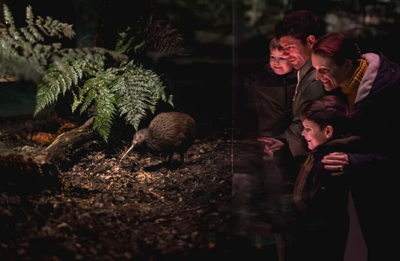 Kiwi Park Admission Ticket - FAQ