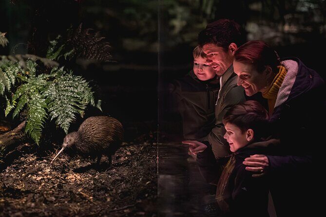 Kiwi Park Queenstown Admission - The Practical Details