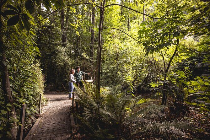 Kiwi Park Queenstown Admission - The Sum Up