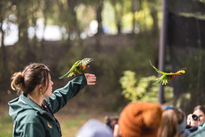 Kiwi Park Queenstown Admission - FAQ