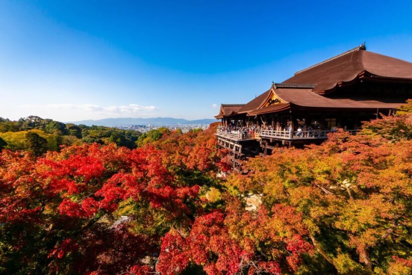 Kiyomizu Temple and Backstreet of Gion Half Day Group Tour - Final Thoughts