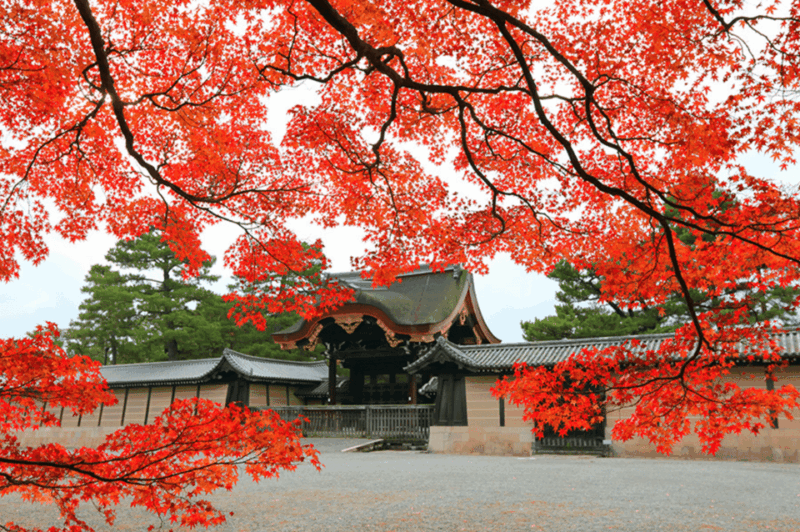 KIYOTOs Kyoto E-Bike Tour - Nijo Castle