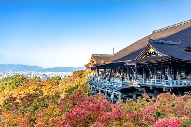 KIYOTO's Private Wander: Highlights & Hidden Gems - Potential Drawbacks