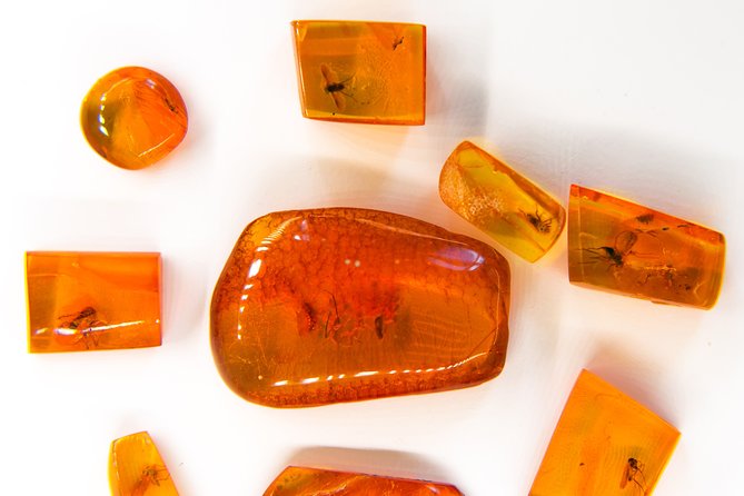 Klaipeda Private Walking Tour - Customer Reviews and Feedback