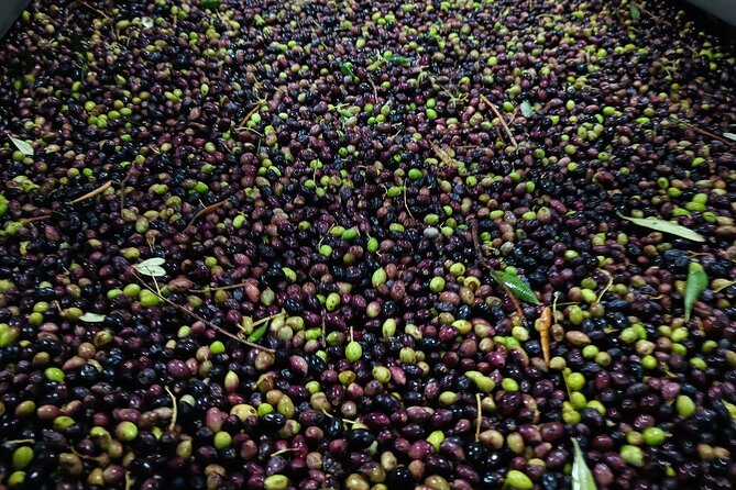 Kleanthi Olive Farm: Guided Tour With Local Delicacies Tasting - Sustainable Farming Practices and Olive Oil Production