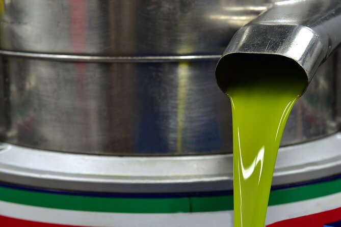 Kleanthi Olive Farm: Guided Tour With Local Delicacies Tasting - Feedback and Recommendations From Satisfied Visitors