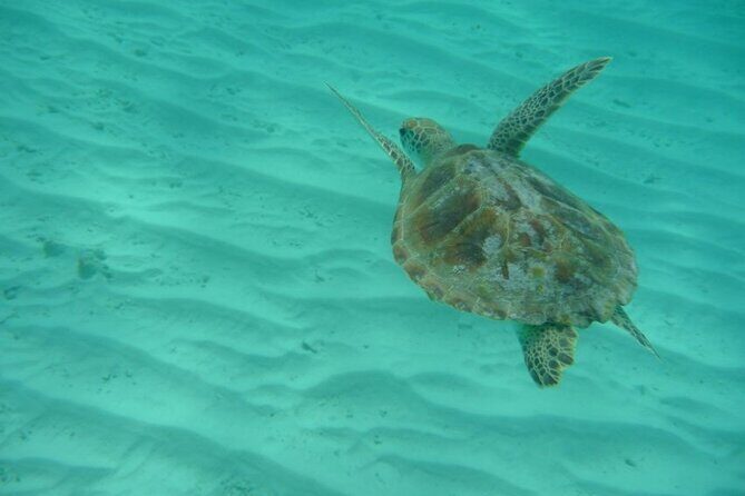 Klein Curacao Daytrip - All Inclusive Full Day Boat Tour - Who Will Love This Tour?