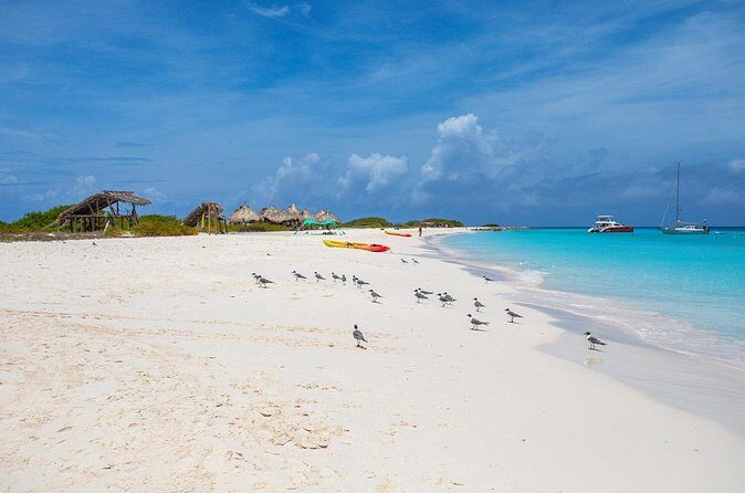 Klein Curacao Sunset Cruise with Open Bar and BBQ - Authentic Experiences and Traveler Feedback